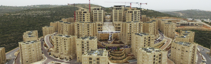 Massar Group | Sectors